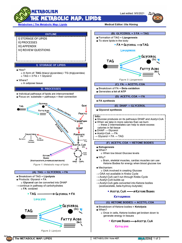 The Metabolic Map - Lipids Atf | PDF