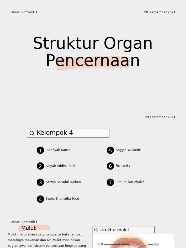 Kel 4 Struktur Organ Pencernaan | PDF