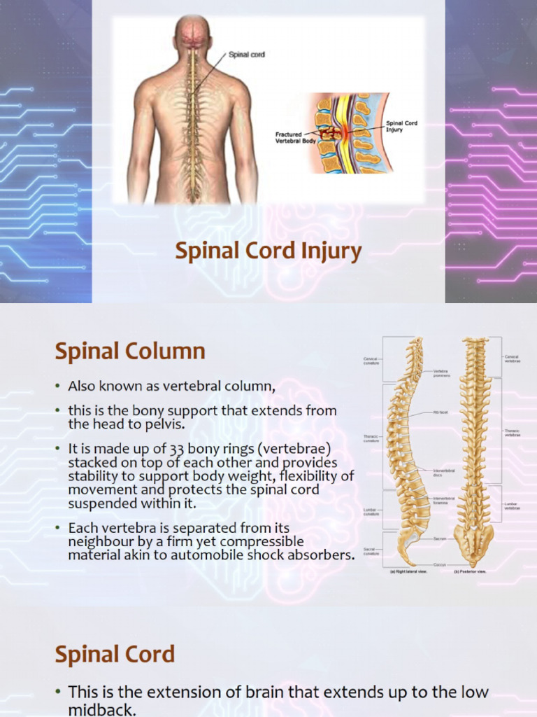Spinal Cord Injury | PDF
