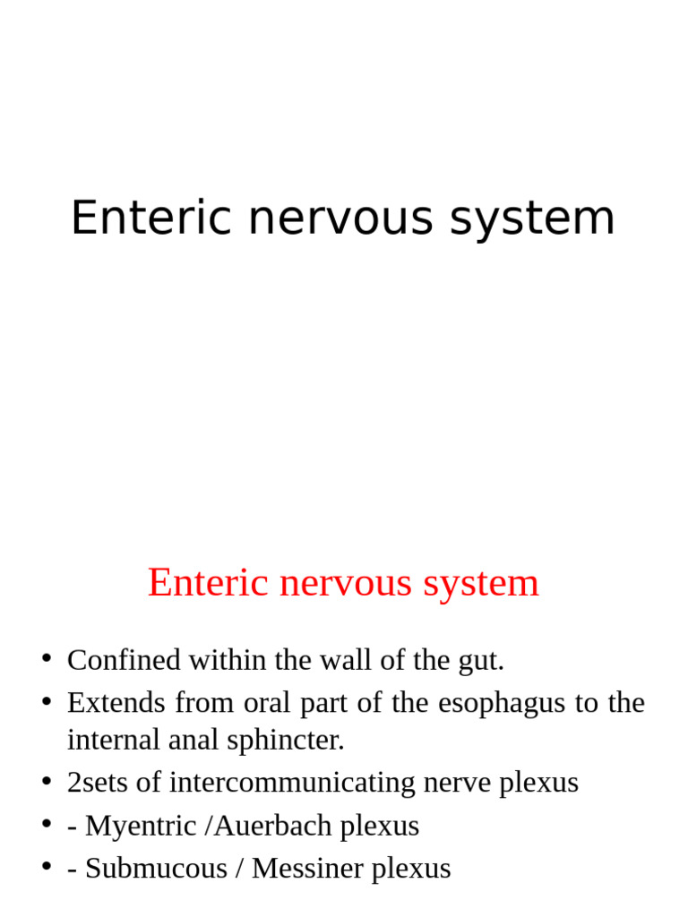 Enteric Nervous System | PDF