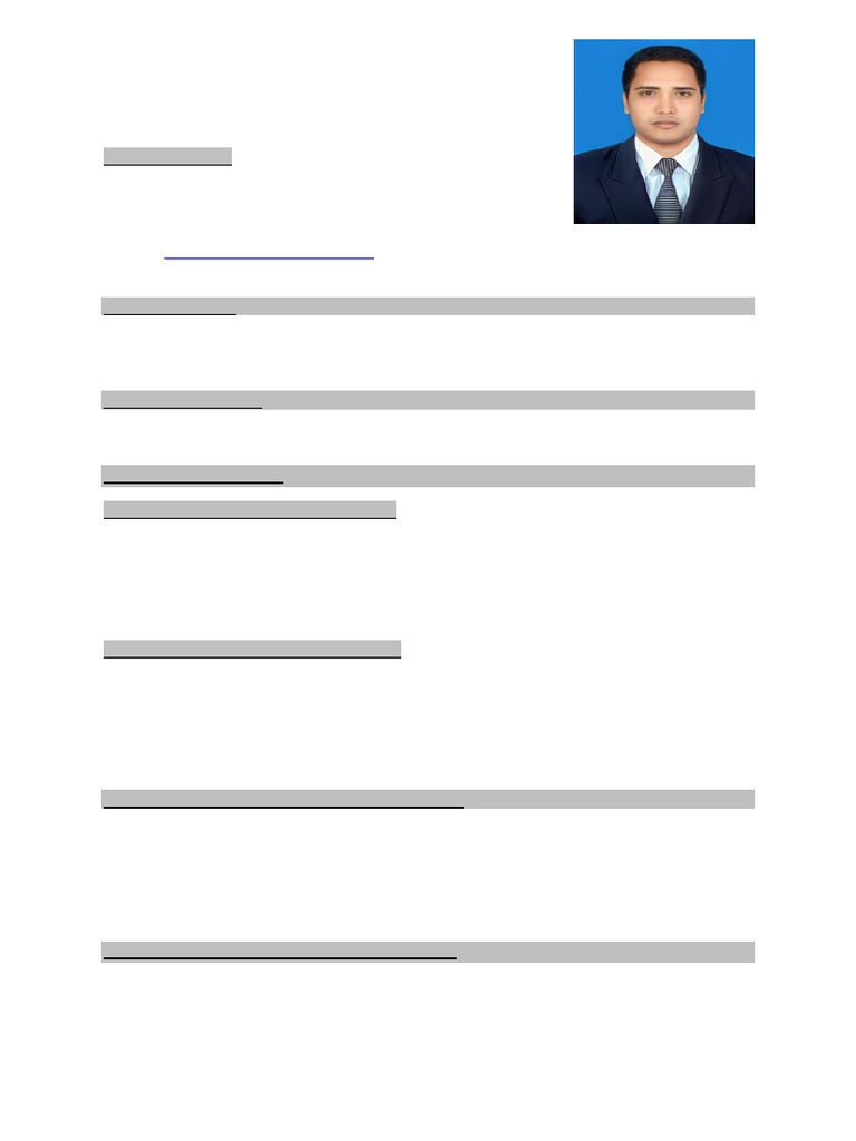 Mahmud CV2024 | PDF