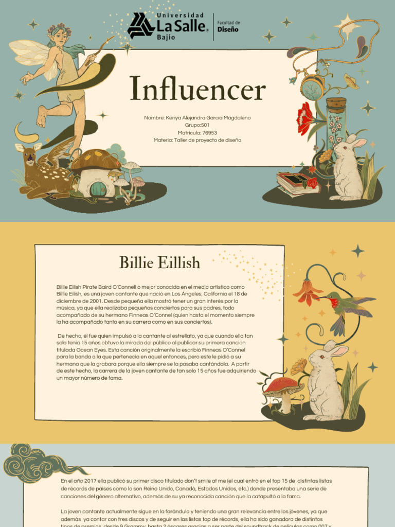 Influencer PDF | PDF