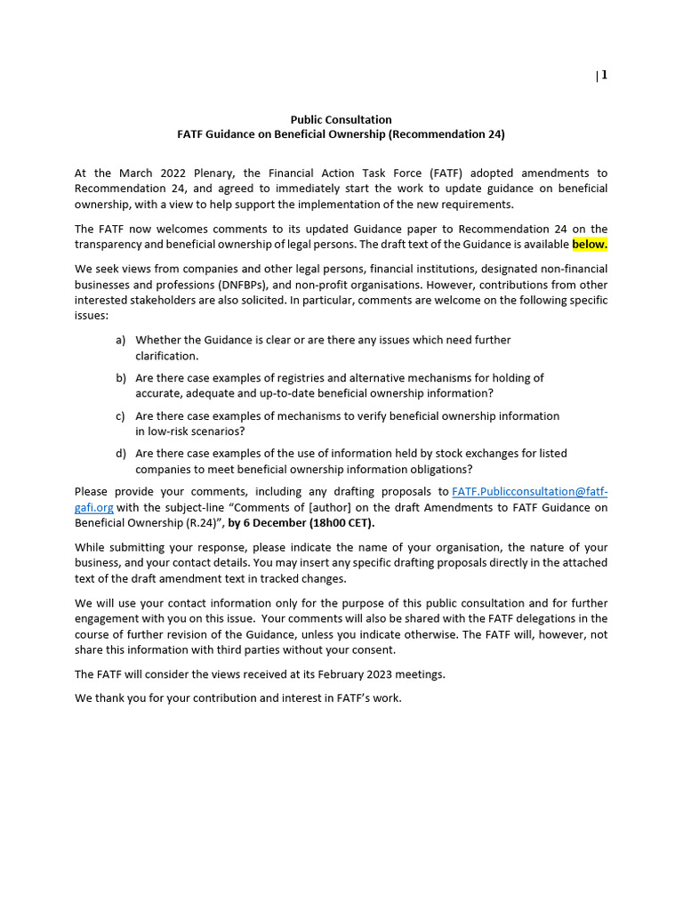Fatf R24 Guidelines For Public Consultation | PDF