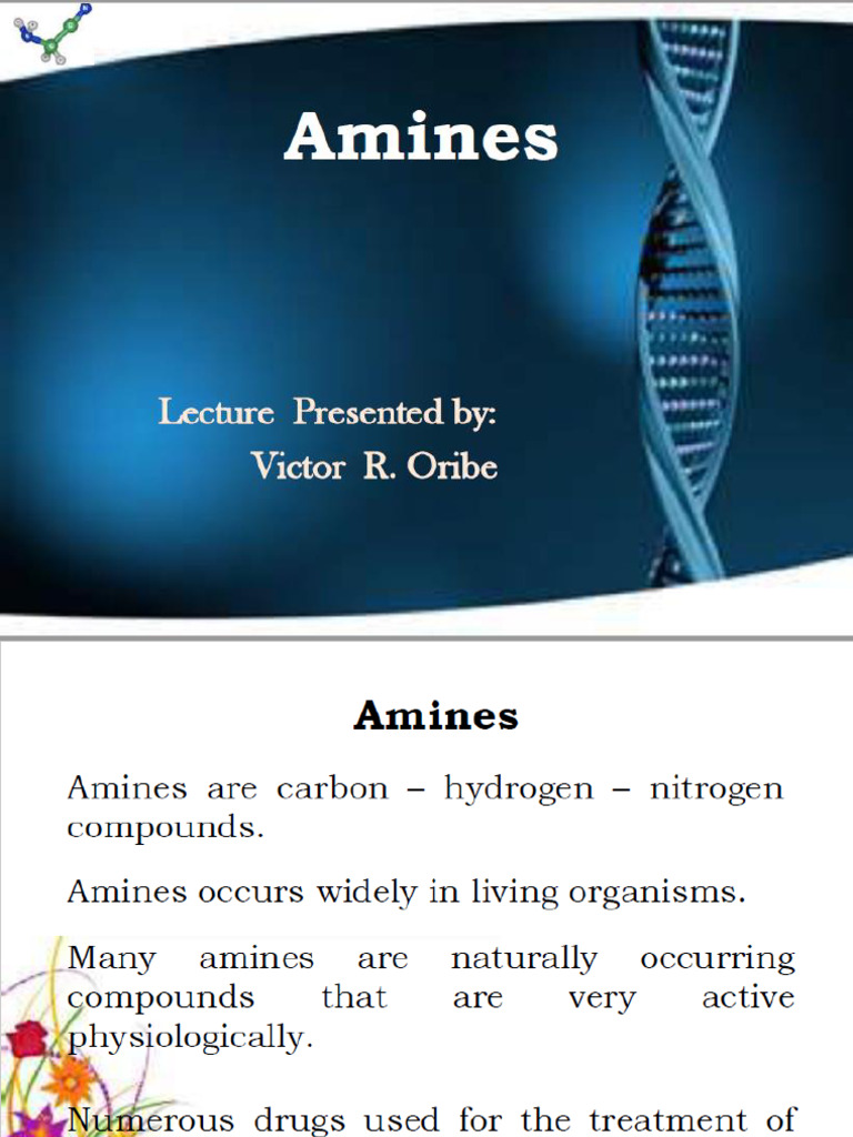 Amine Amide | PDF