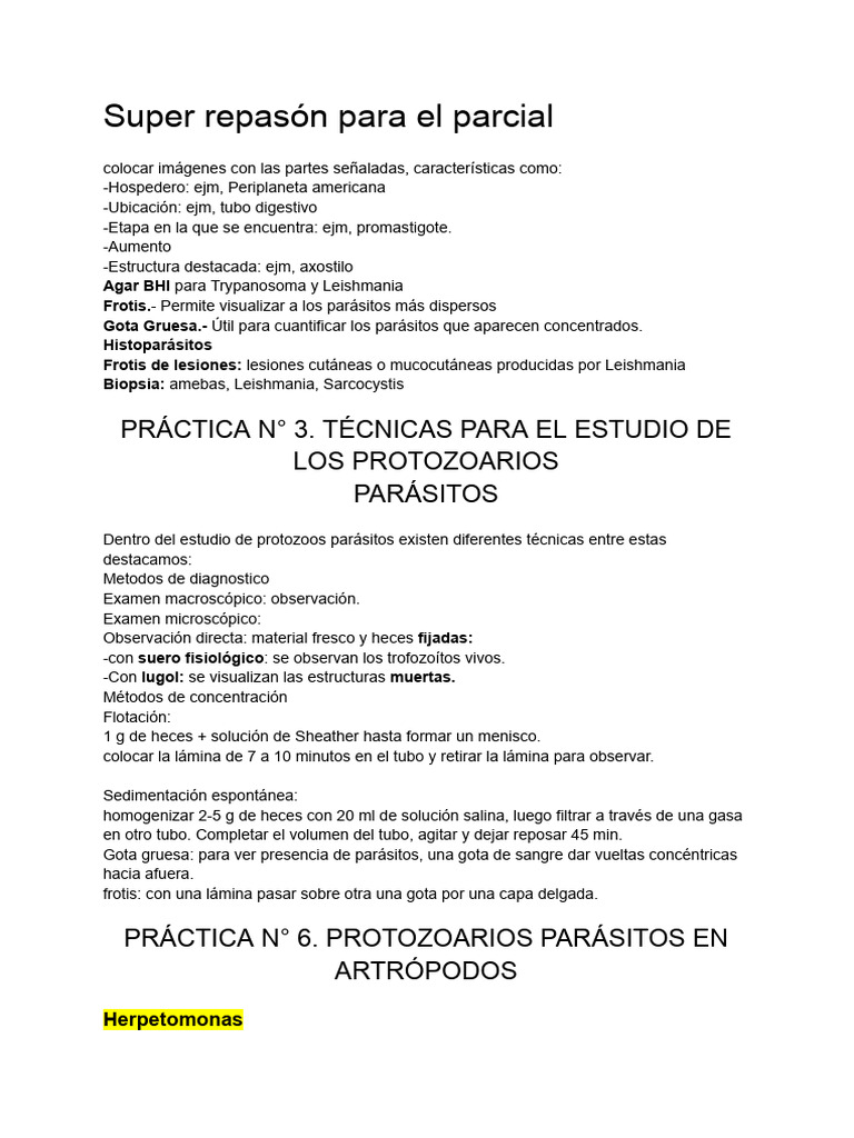 PROTO-Super Repasón para El Parcial | PDF