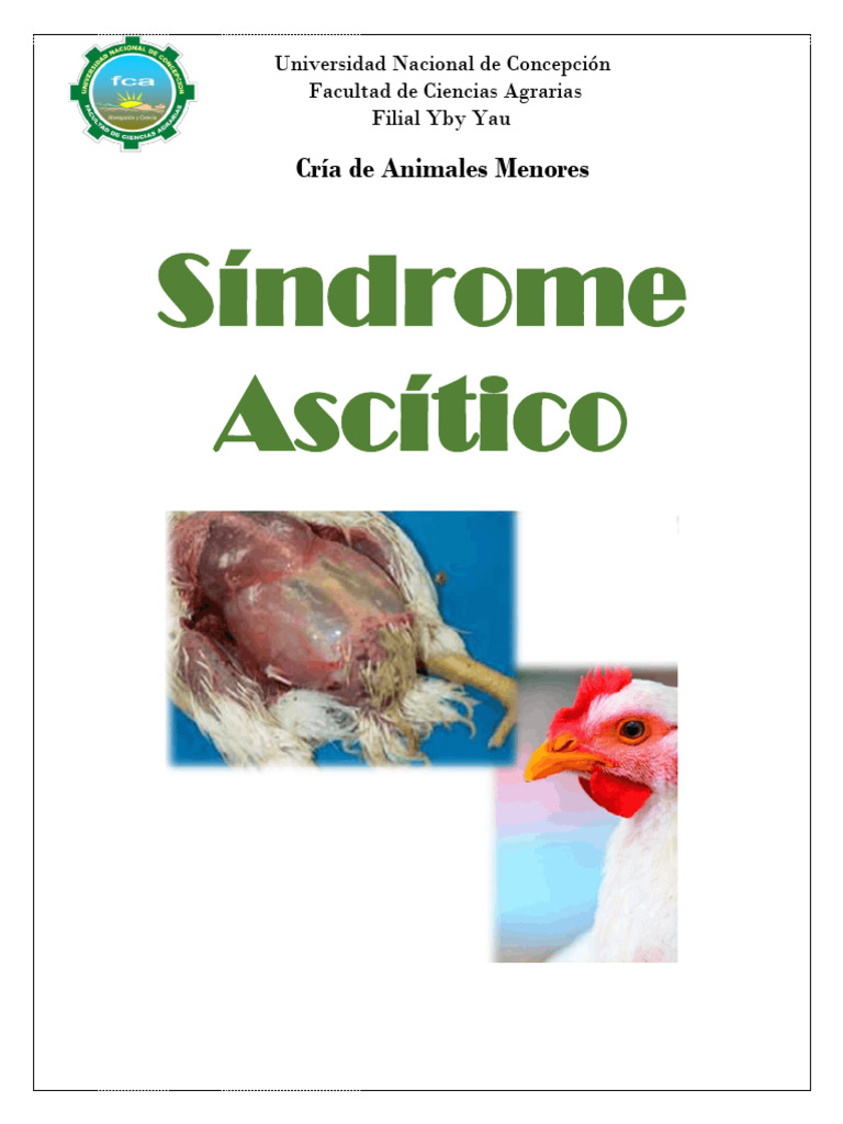Sindrome Ascitico | PDF