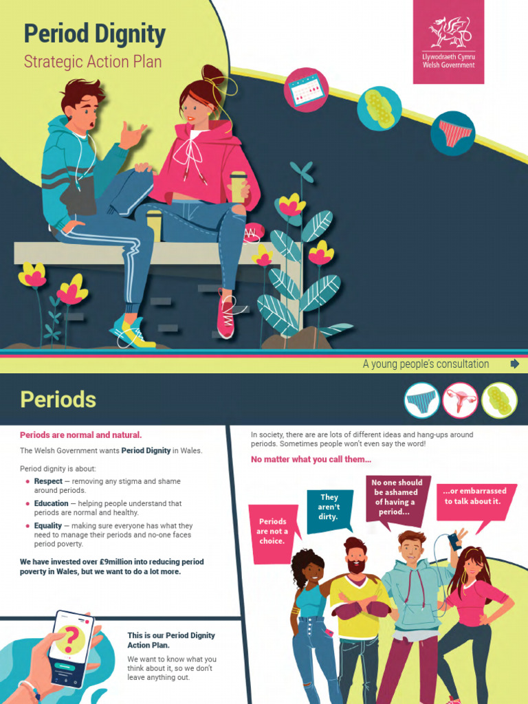 Period Dignity Strategic Action Plan Young Peoples Version | PDF