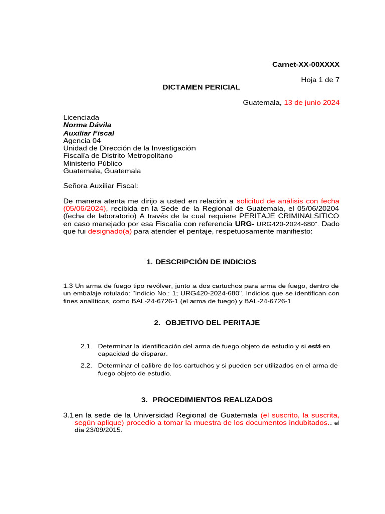 Modelo de Dictamen | PDF