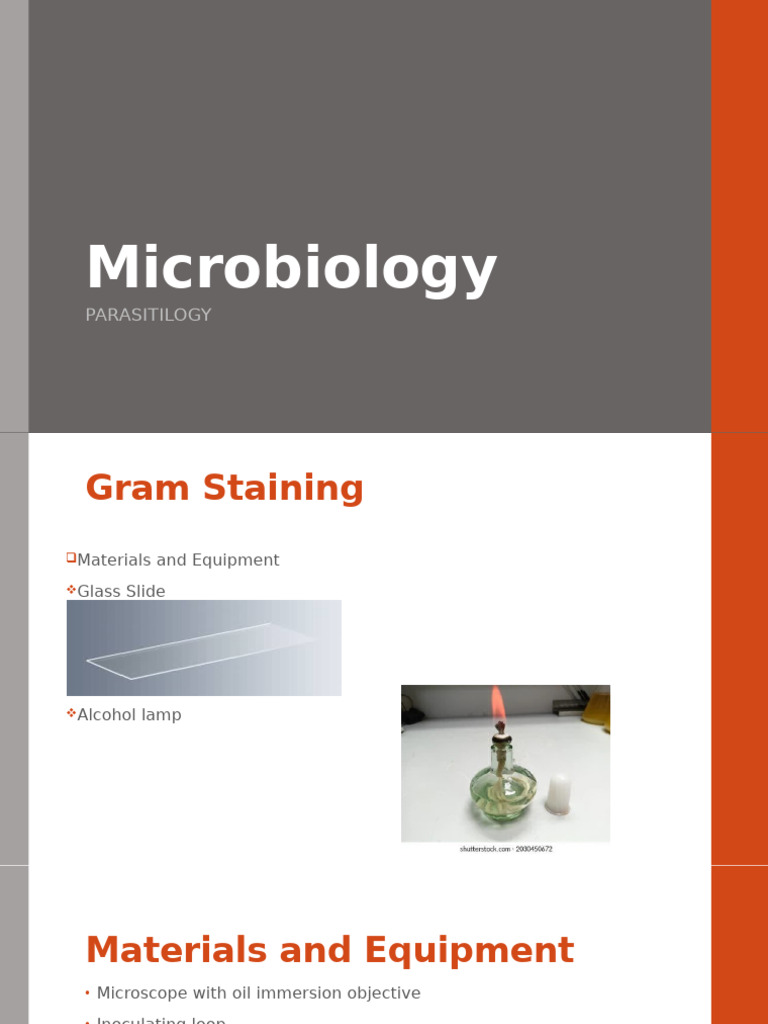 Gram Staining 4 | PDF