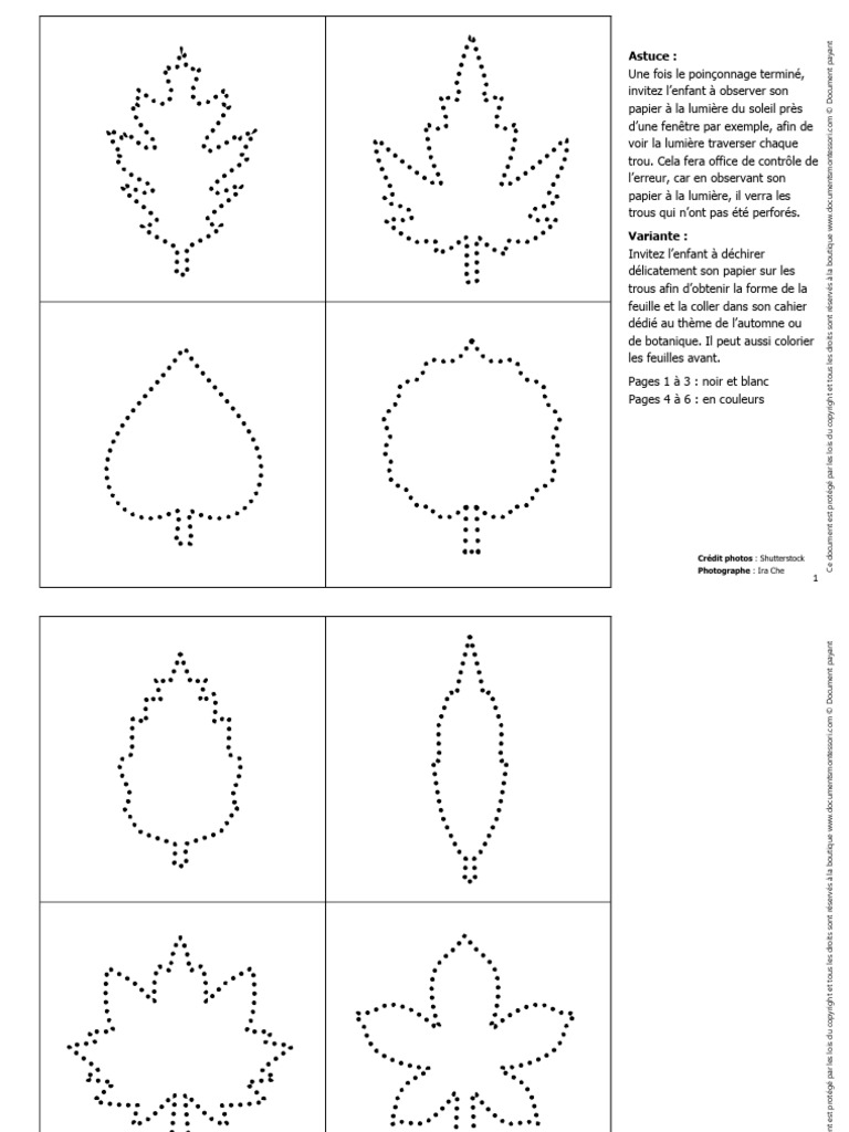Poinçonnage Feuilles Automne | PDF