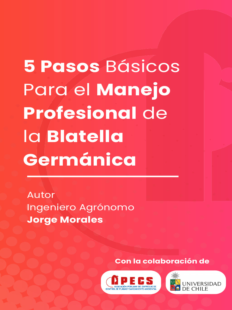 E Book Apecs | PDF