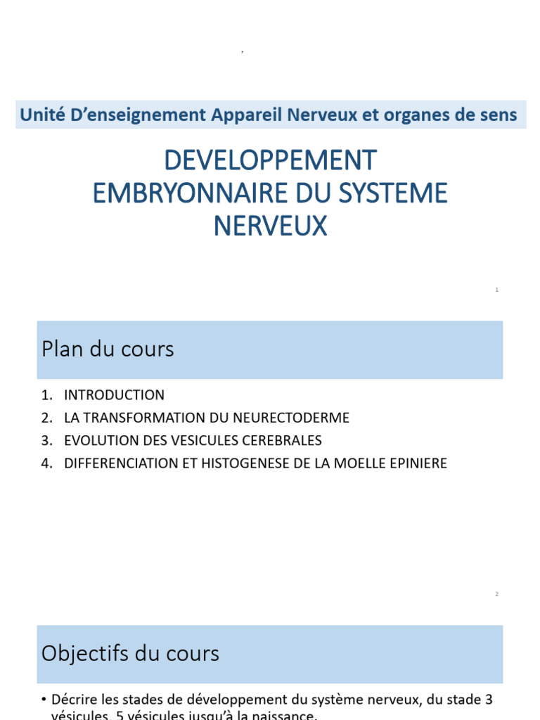 1.dvpt Du SNC Diapo | PDF