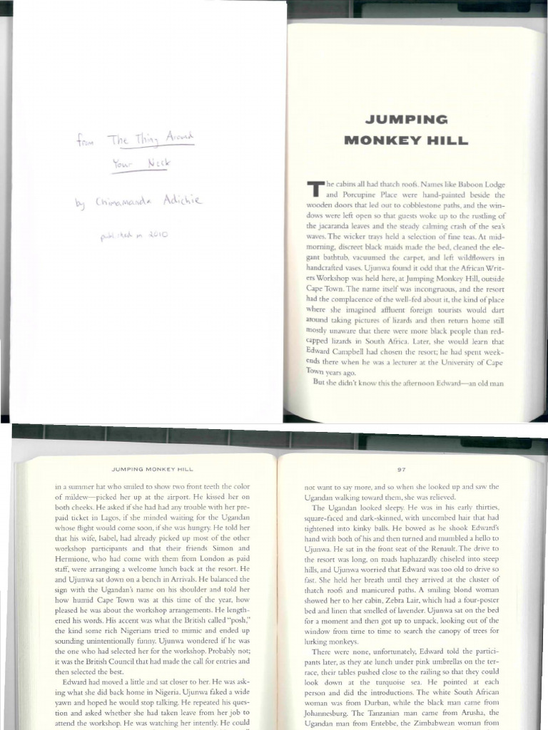 Adichie - Jumping Monkey Hill | PDF