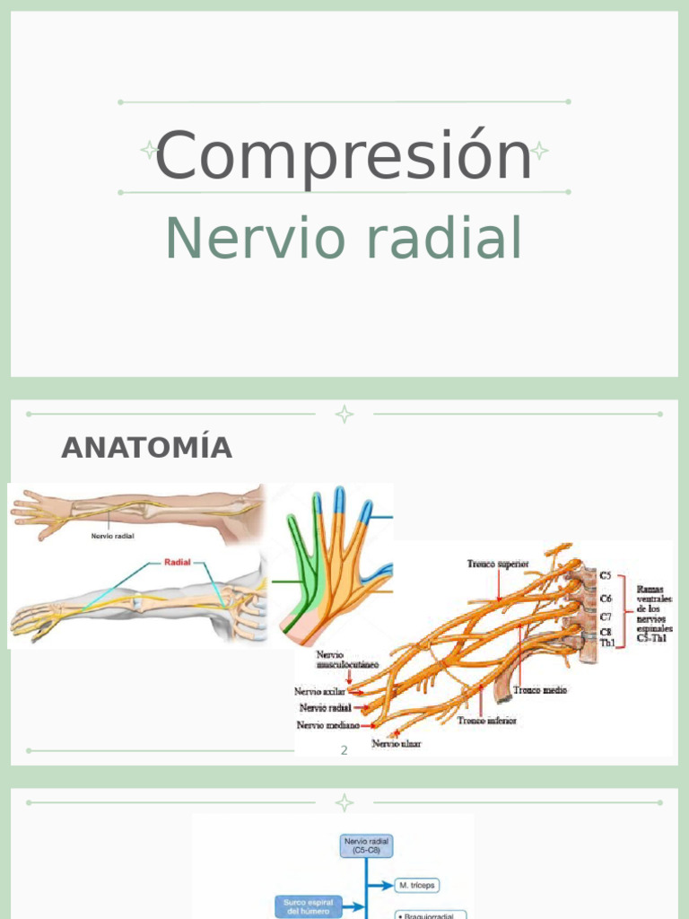 Compresión Radial | PDF