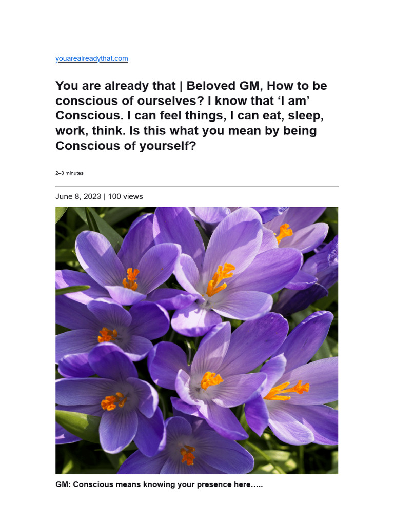 How To Be Conscious of Ourselves | PDF