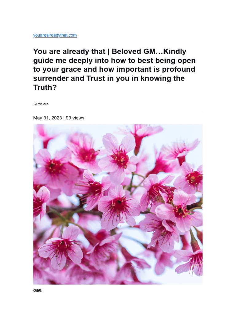 How To Best Being Open To Your Grace VIMP | PDF