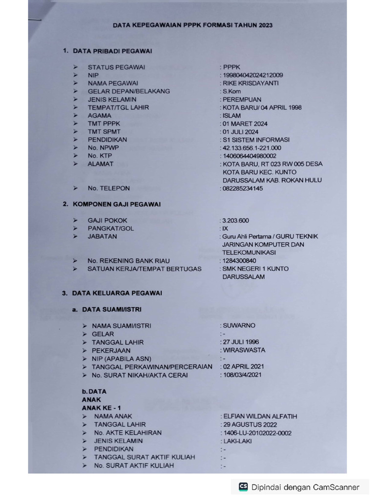 Data Kepegawaian p3k Rike | PDF