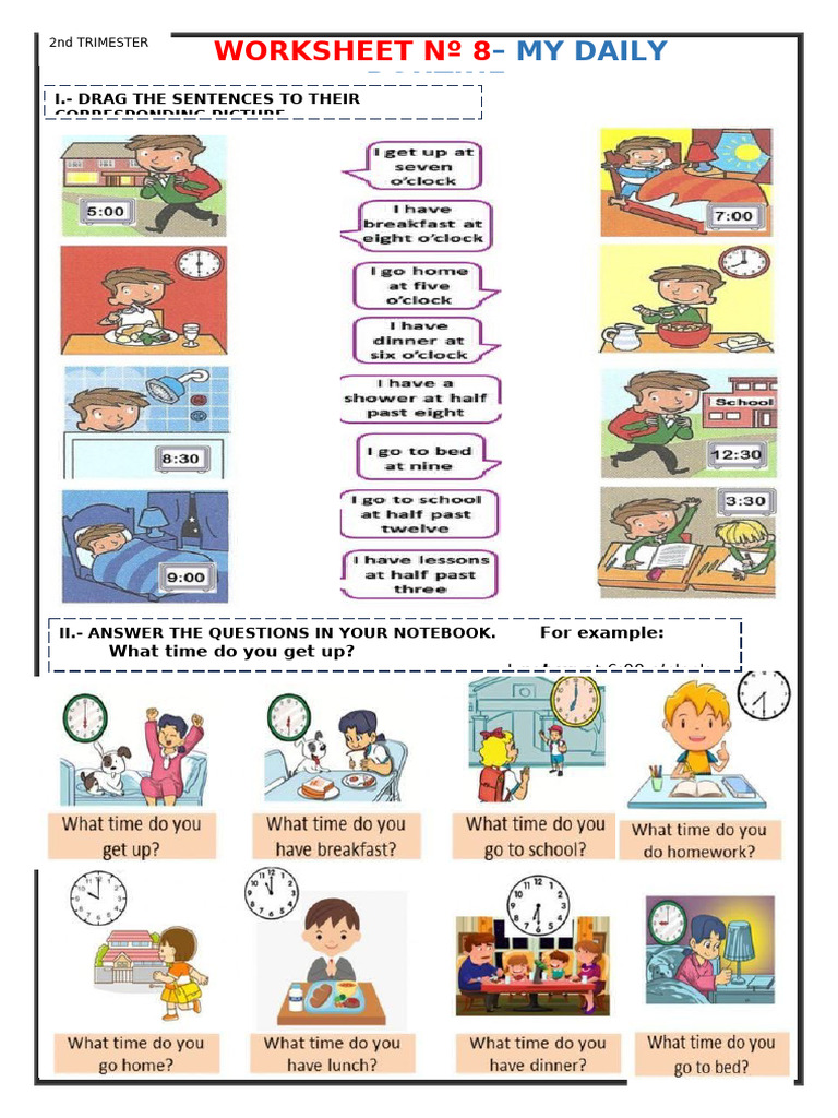 Worksheet 8 - Daily Routine | PDF