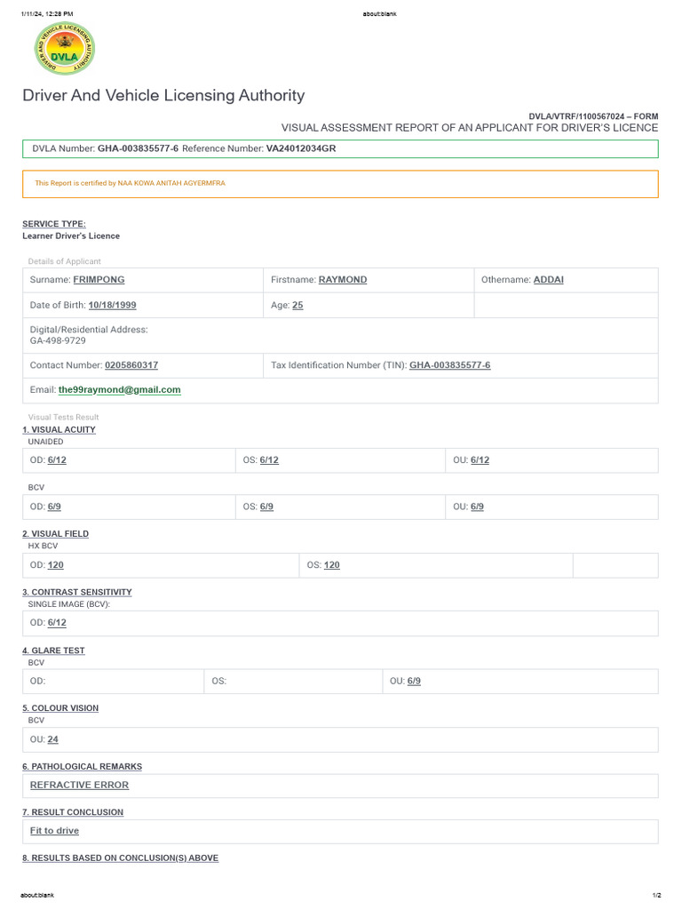 DVLa Eye Test | PDF