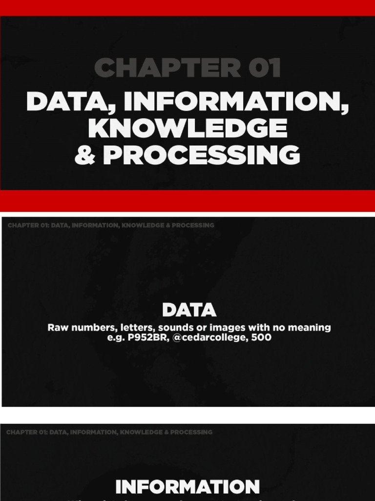 Chapter 1 - Data, Information, Knowledge and Processing | PDF