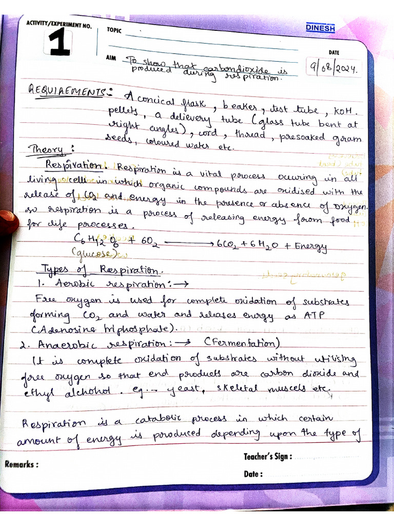 Class 10 Biology Practical File | PDF