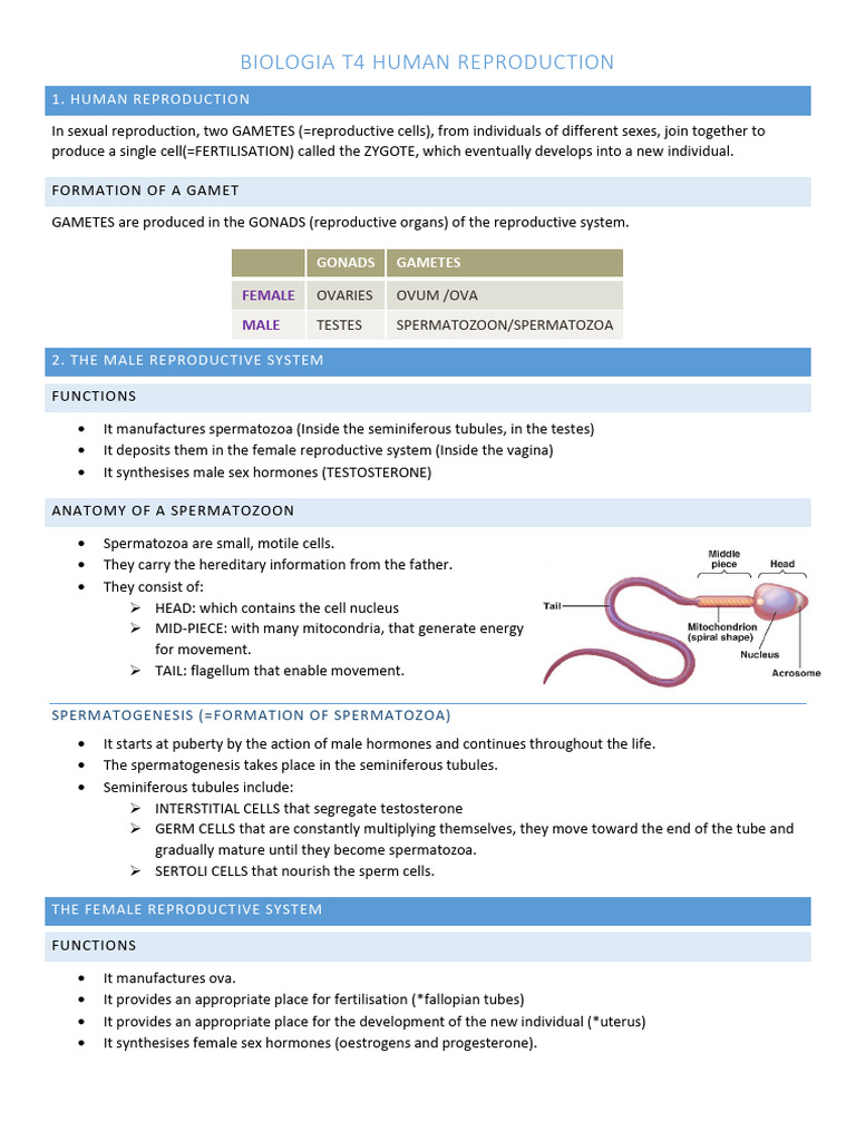 Biologia Human Reproduction | PDF