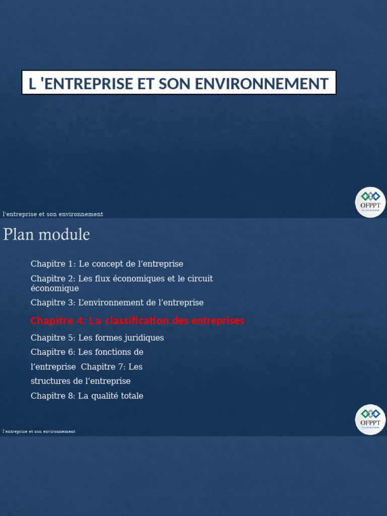 Chapitre 4 La Classification Des Entreprises | PDF