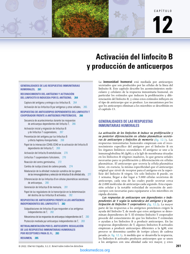 Activación Del Linfocito B y Producción de Anticuerpos: Generalidades de Las Respuestas ...
