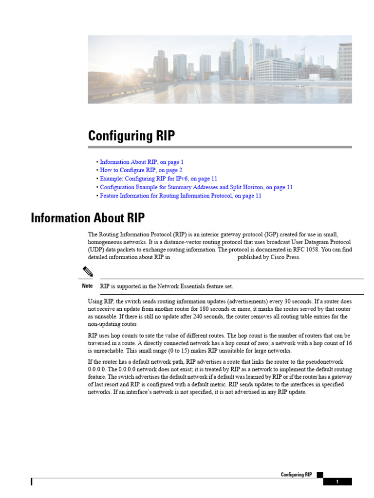 Configuring Rip | PDF