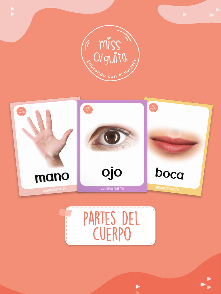 Flashcards del Cuerpo Humano para Niños | PDF | Estilo de vida