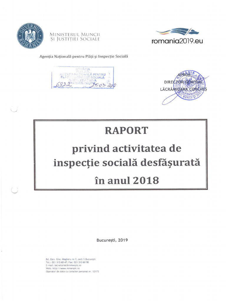 Raport de Activitate DIS 2018 | PDF