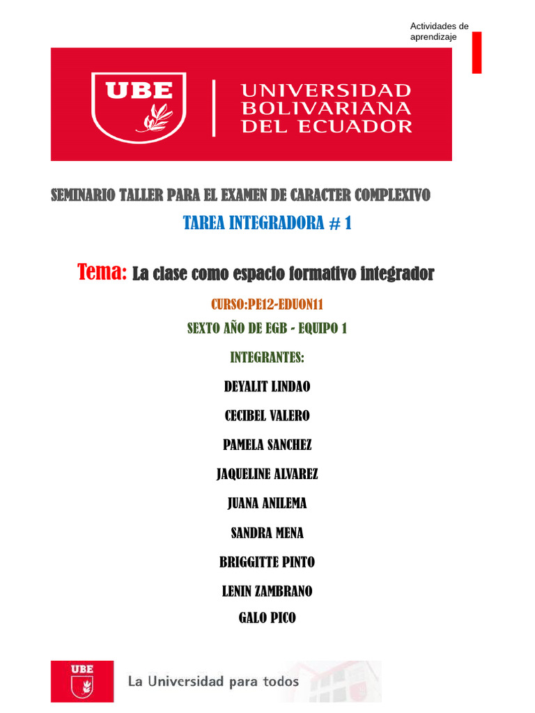 Tarea Integradora Grupal 1 | PDF