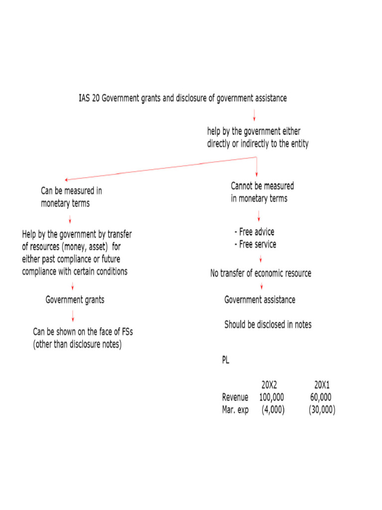 Session 7 - IAS 20 Government Grants and IAS 38 Intangible Assets | PDF