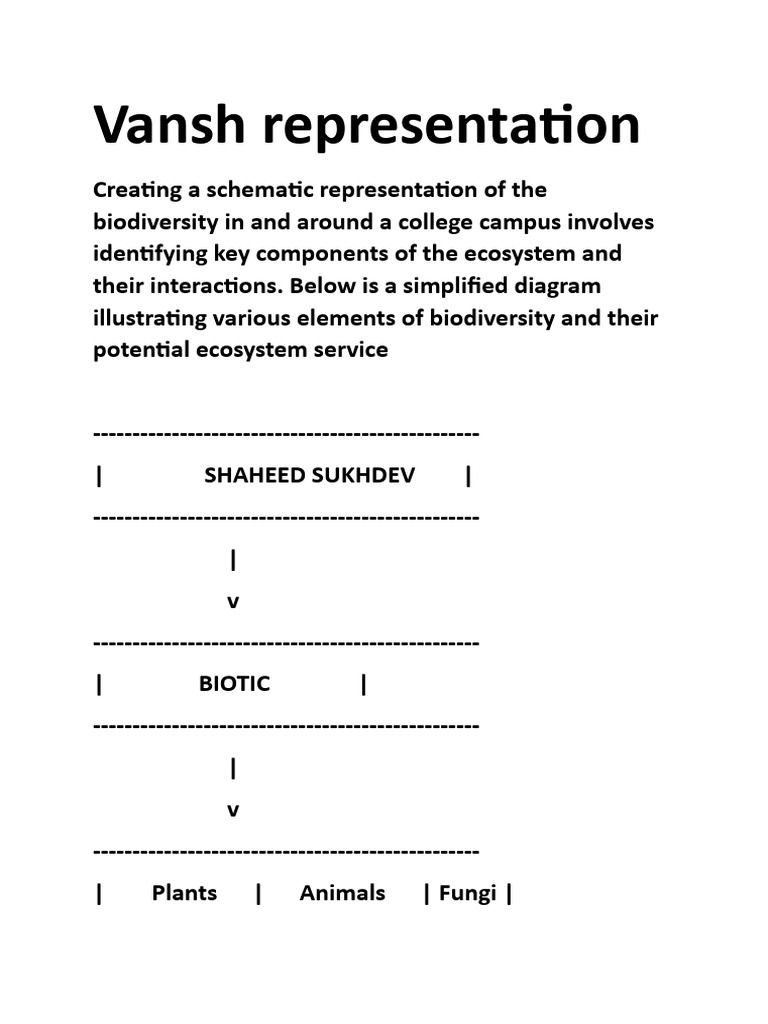 Vansh Representation | PDF