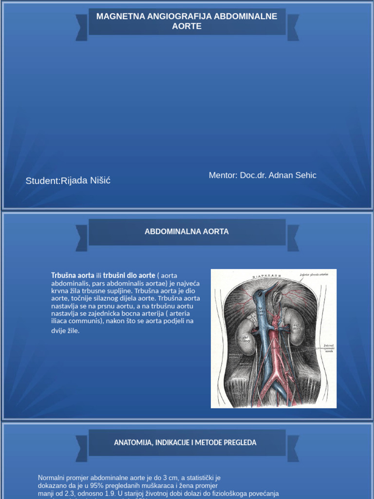 MRAabdominalneaorte - RIJADA NIŠIĆ | PDF