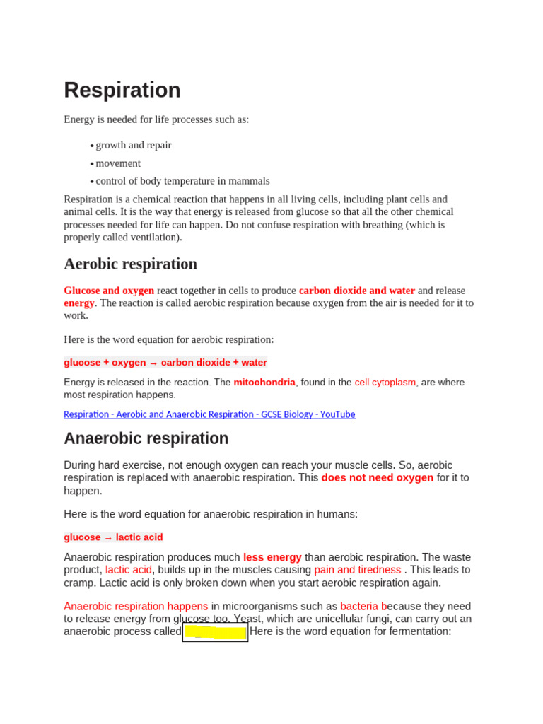 1 Respiration Notes | PDF