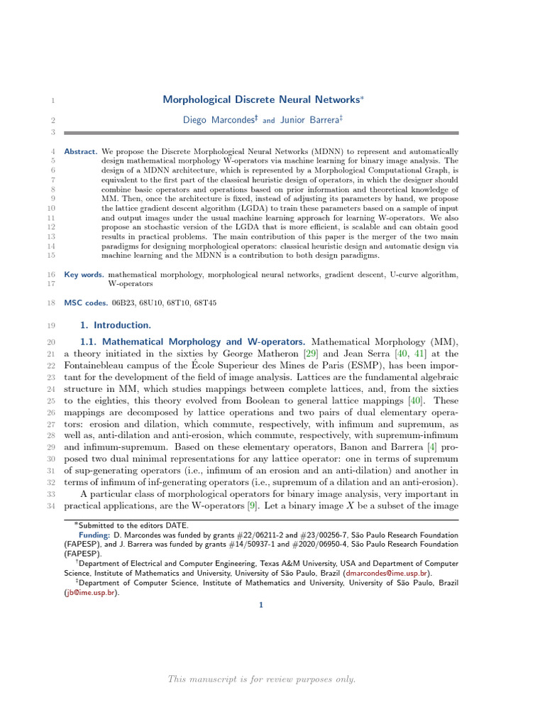 Morphological Discrete Neural Networks | PDF