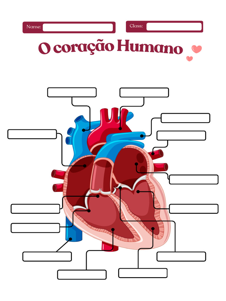 Label The Human Heart Worksheet in Red Blue and White Illustrative ...