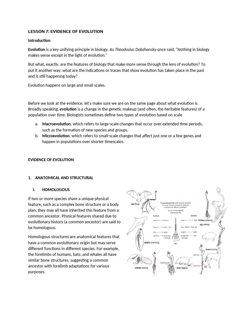 Lesson 7 - Evidence of Evolution | PDF