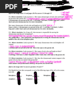 Amoeba Sisters Cell Cycle-1 | PDF | Mitosis | Chromosome