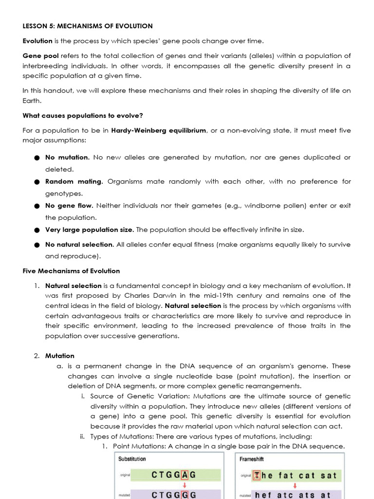 Lesson 5 - Mechanisms of Evolution | PDF | Mutation | Self-Improvement