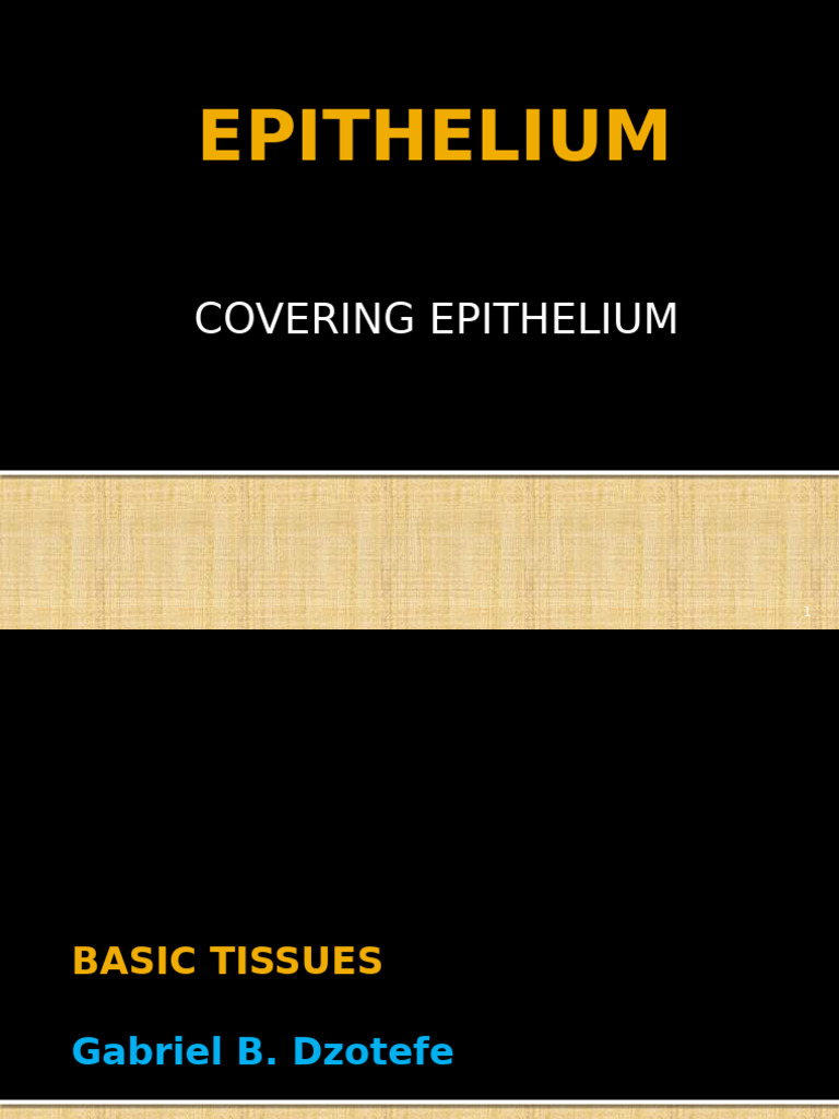 Basic Tissues Pdf