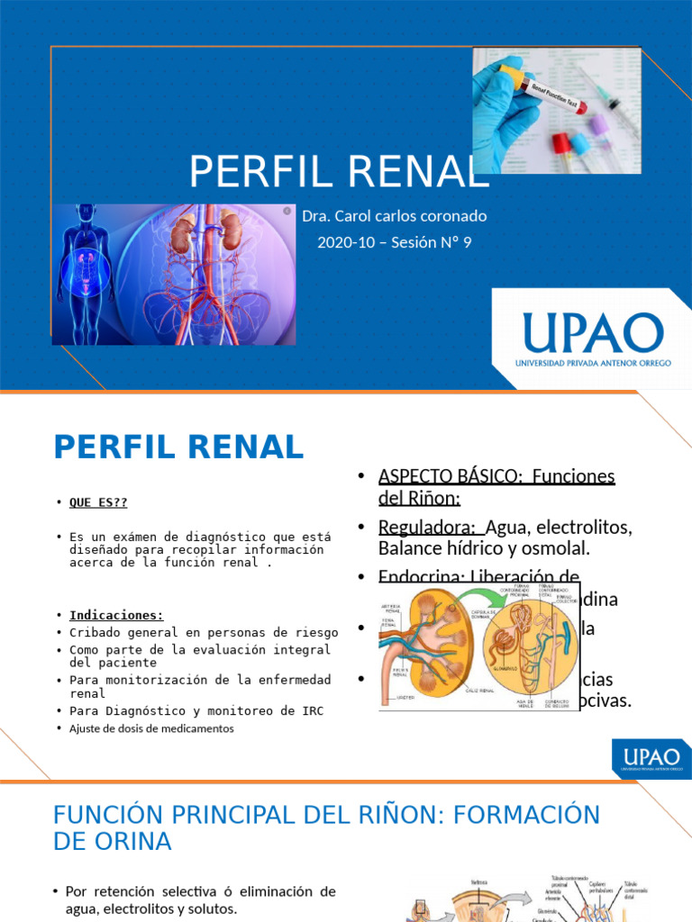 Semana N°9 - Perfil Renal | PDF