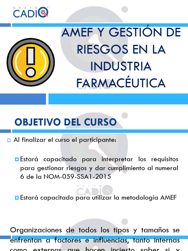 Presentación Amef y SGR | PDF