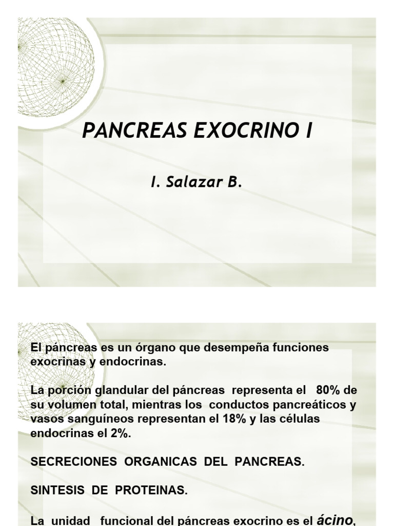 1.pancreas Exocrino | PDF | Digestive System | Exocrine System