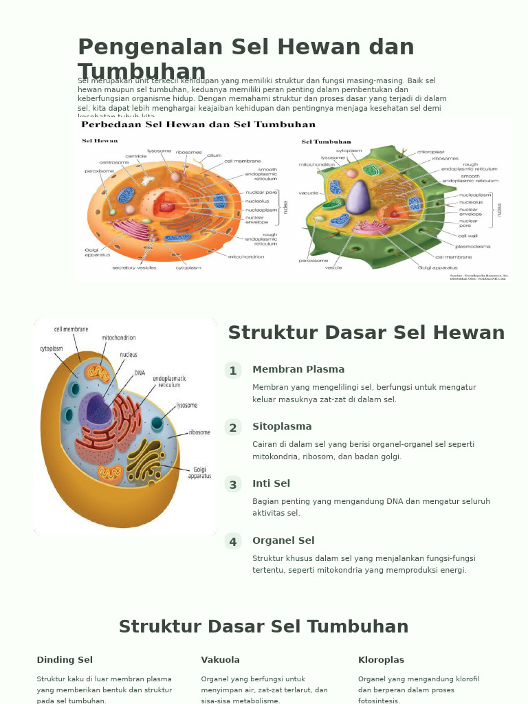 Pengenalan Sel Hewan Dan Tumbuhan | PDF