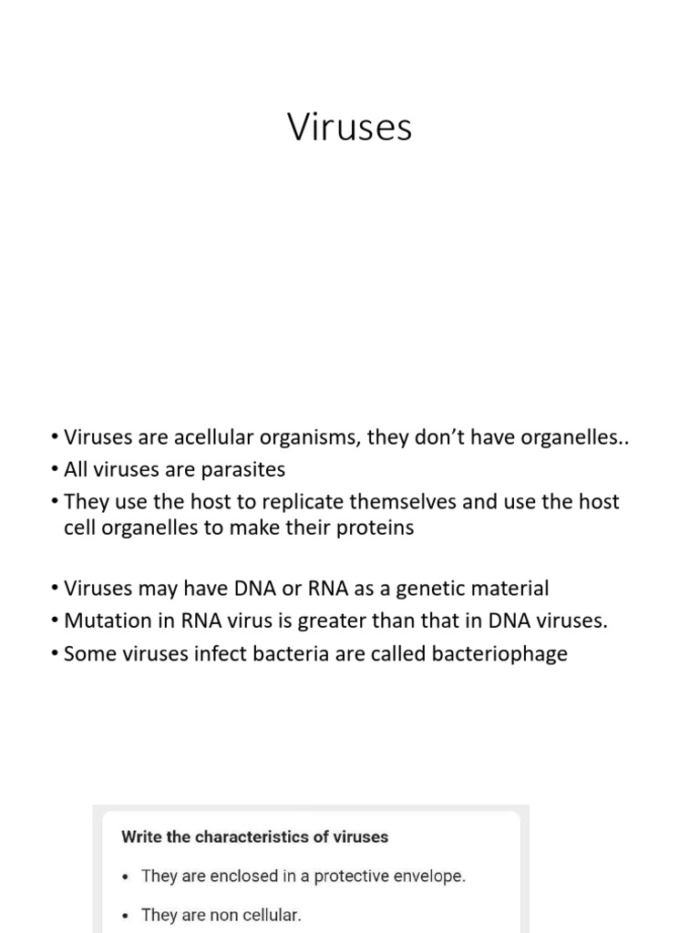 Viruses | PDF