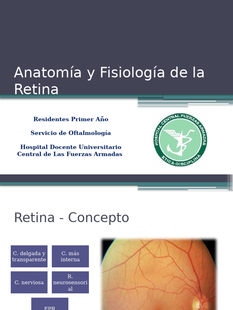 Anatomía y Fisiología de La Retina | PDF