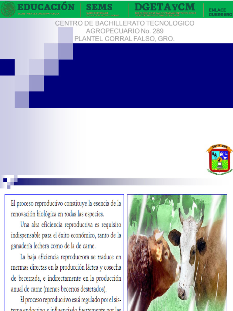 Reproduccion Bovina | PDF