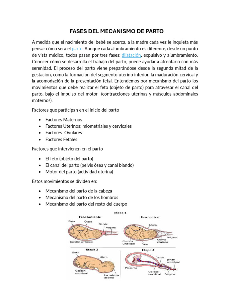Fases de Mecanismo de Parto | PDF | Parto | Pelvis
